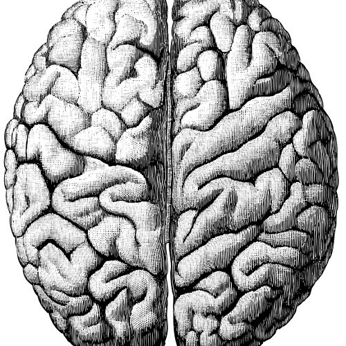 Van zenuw- en zielsziekten naar neuropsychiatrie en gedragsneurologie | Prelum Academy