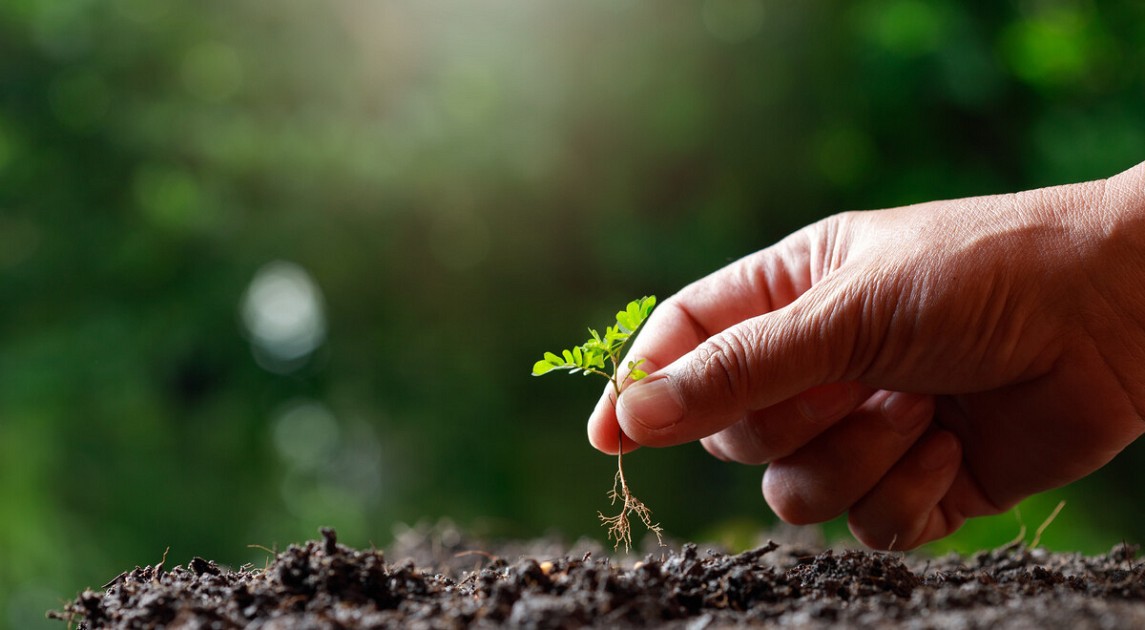 Orgaandonatie na euthanasie | Prelum Academy