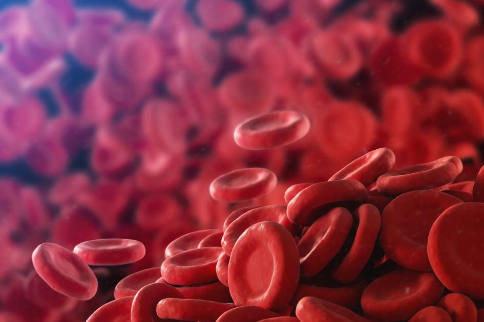 Cholesterol, een vet probleem?! | Prelum Academy